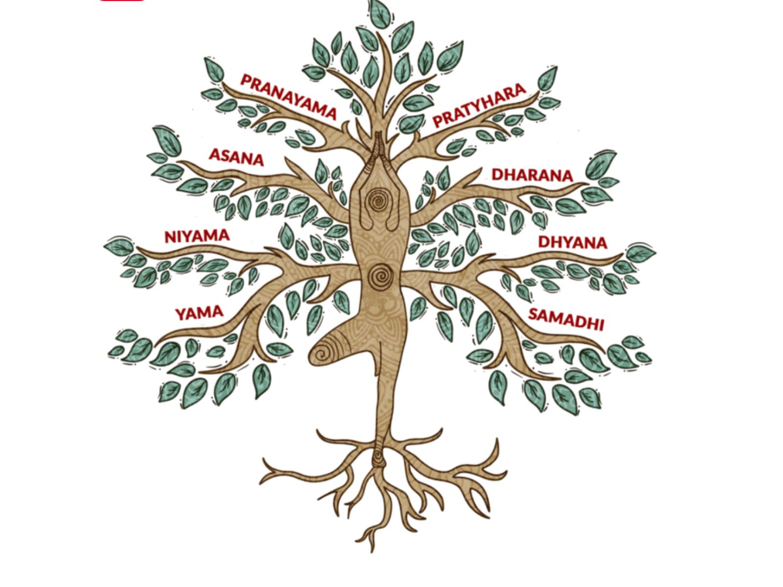 The 8 Limbs of Yoga According to Patañjali | SunFoodYoga